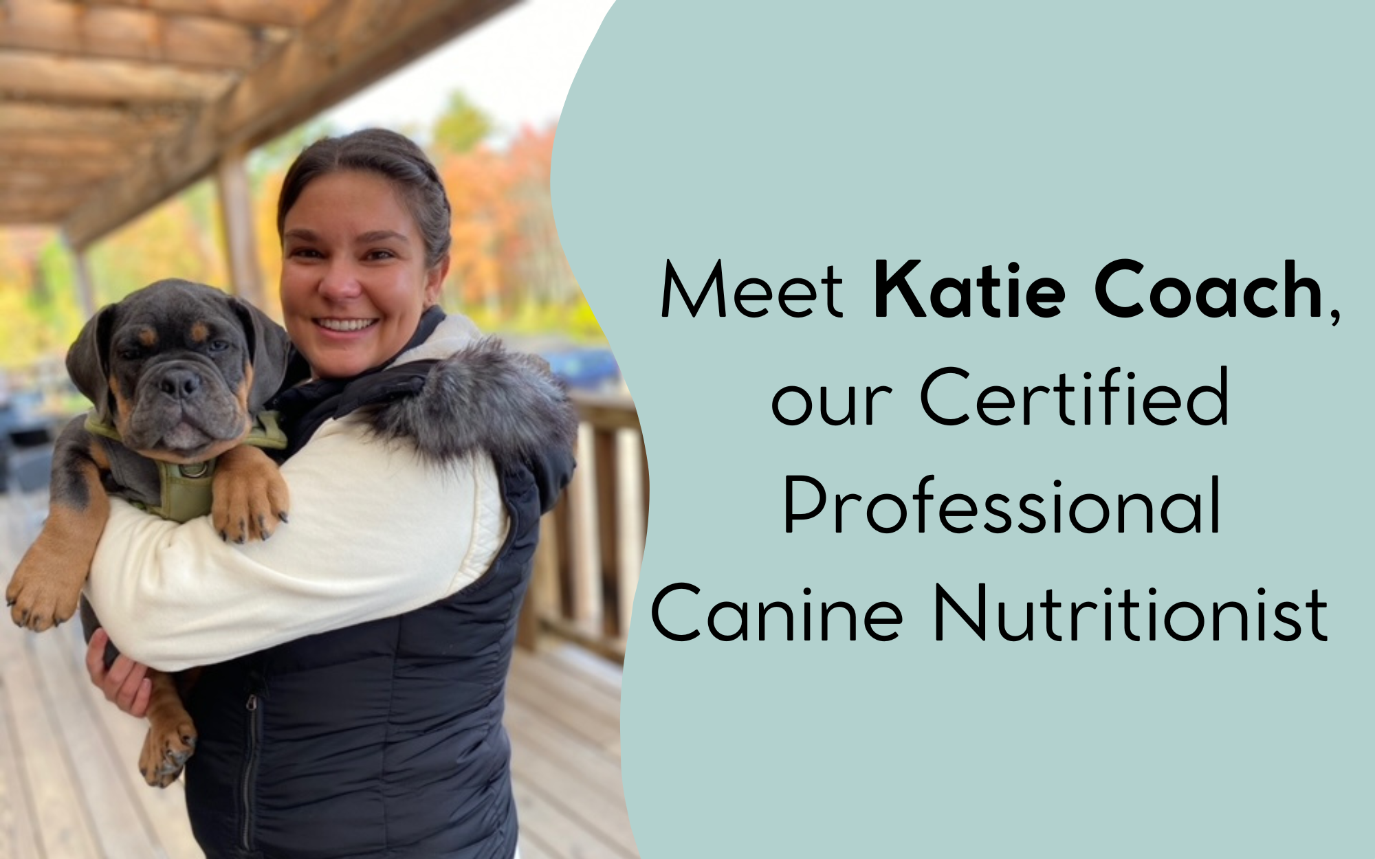 Meet Katie Coach, Our Certified Professional Canine Nutritionist (CPCN – Top Dog Food & Supply