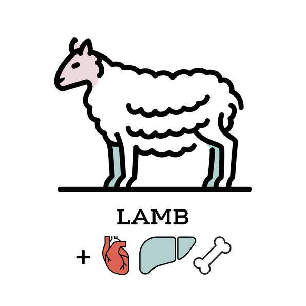 PMR - Prey Model Raw – Top Dog Food & Supply